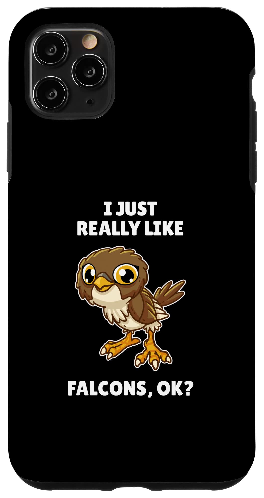 Funny Cartoon Falcons