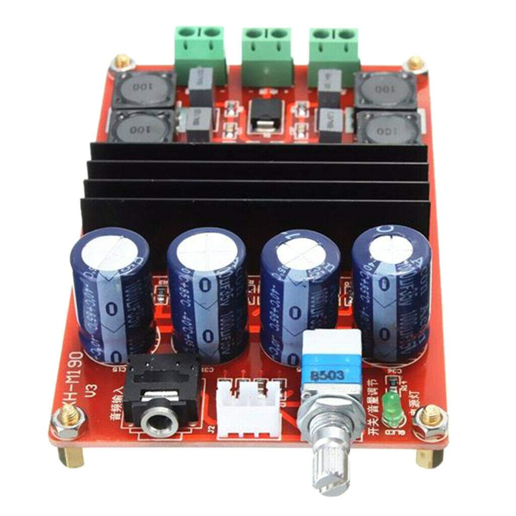 Amazon.com: Electronic Components 2x100W 12V-24V Mini Digital Audio ...