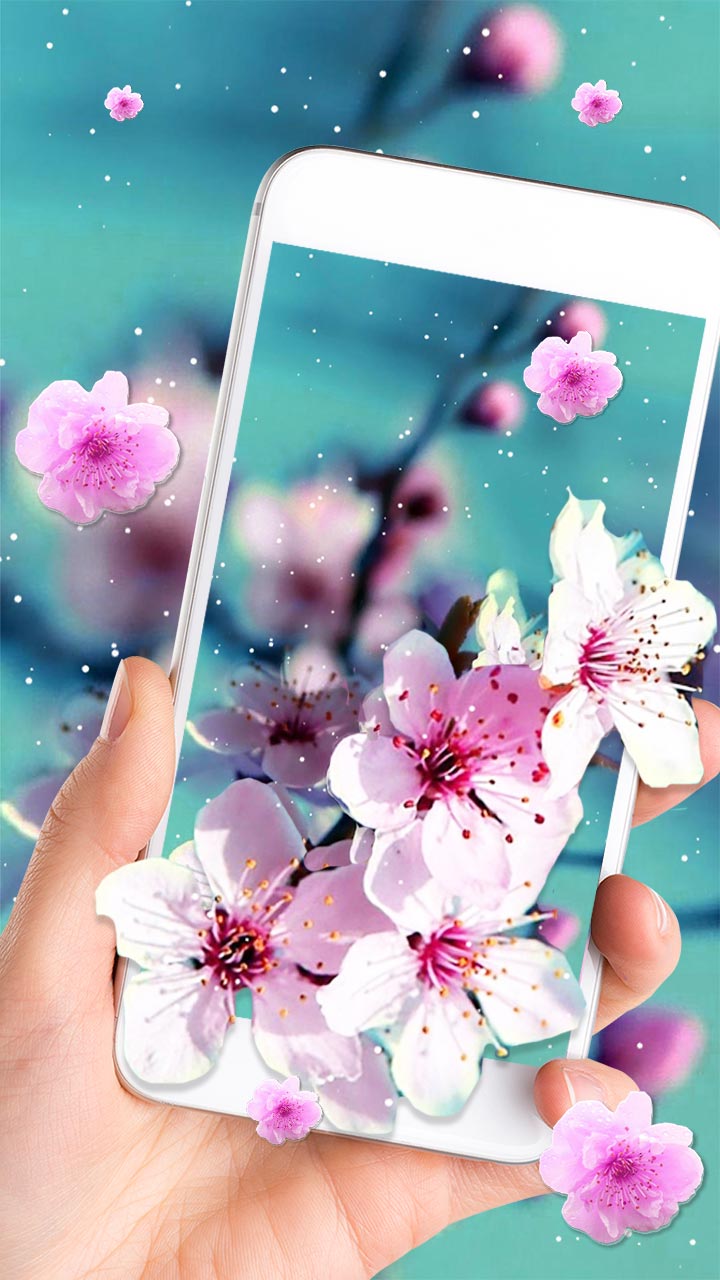 Sakura Live wallpaper - App on Amazon Appstore