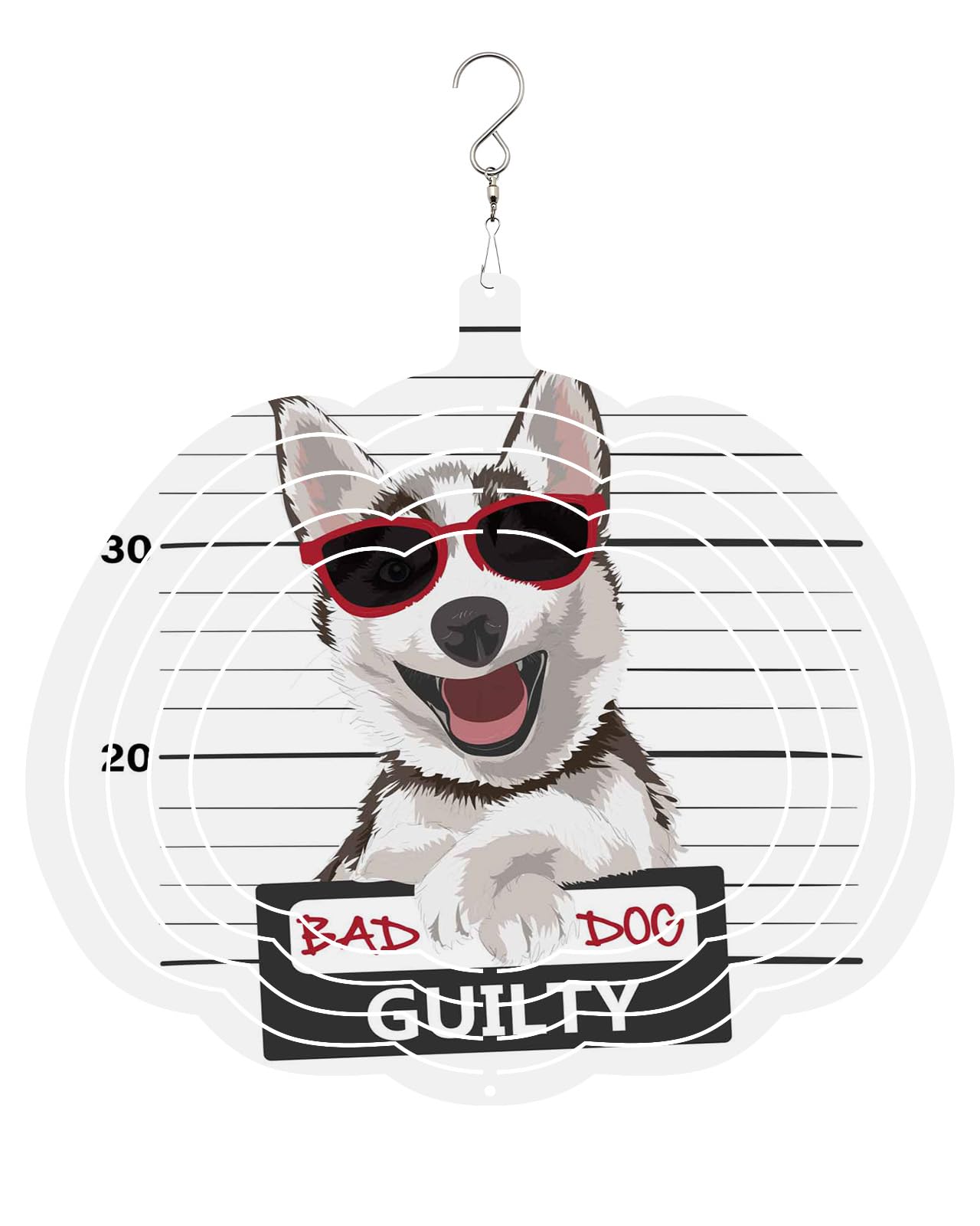 Guilty Husky