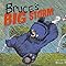 Bruce's Big Storm (Mother Bruce Series): Higgins, Ryan, Higgins, Ryan ...
