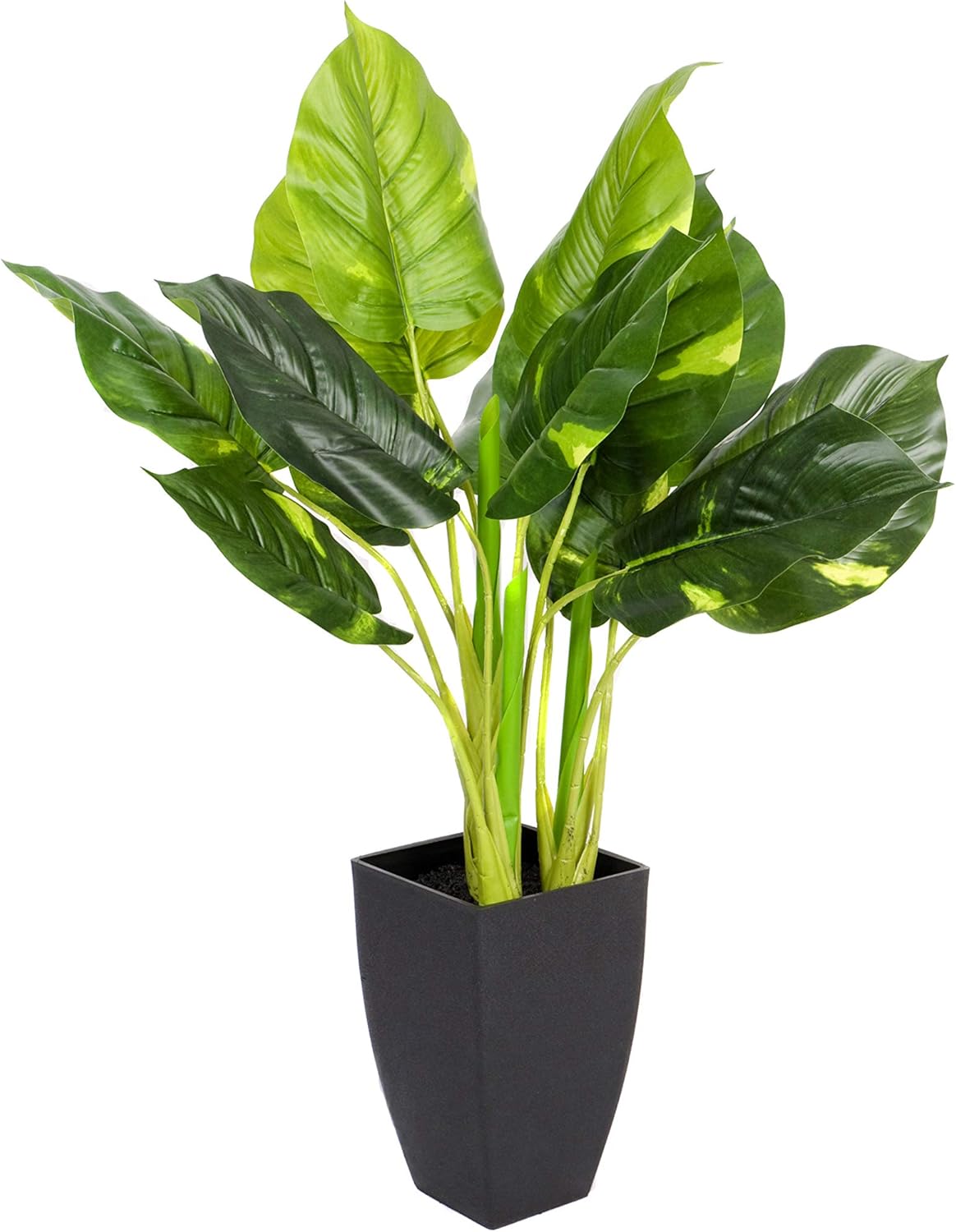 Amazon.com: GreenBrokers Artificial Real Touch Pothos Plant in Black ...