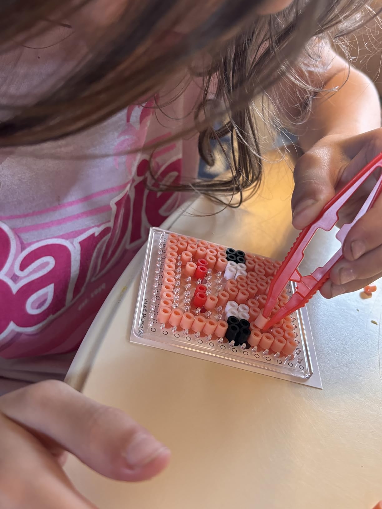 Tara Toy Minecraft Pixel Art : Amazon.ca: Toys & Games