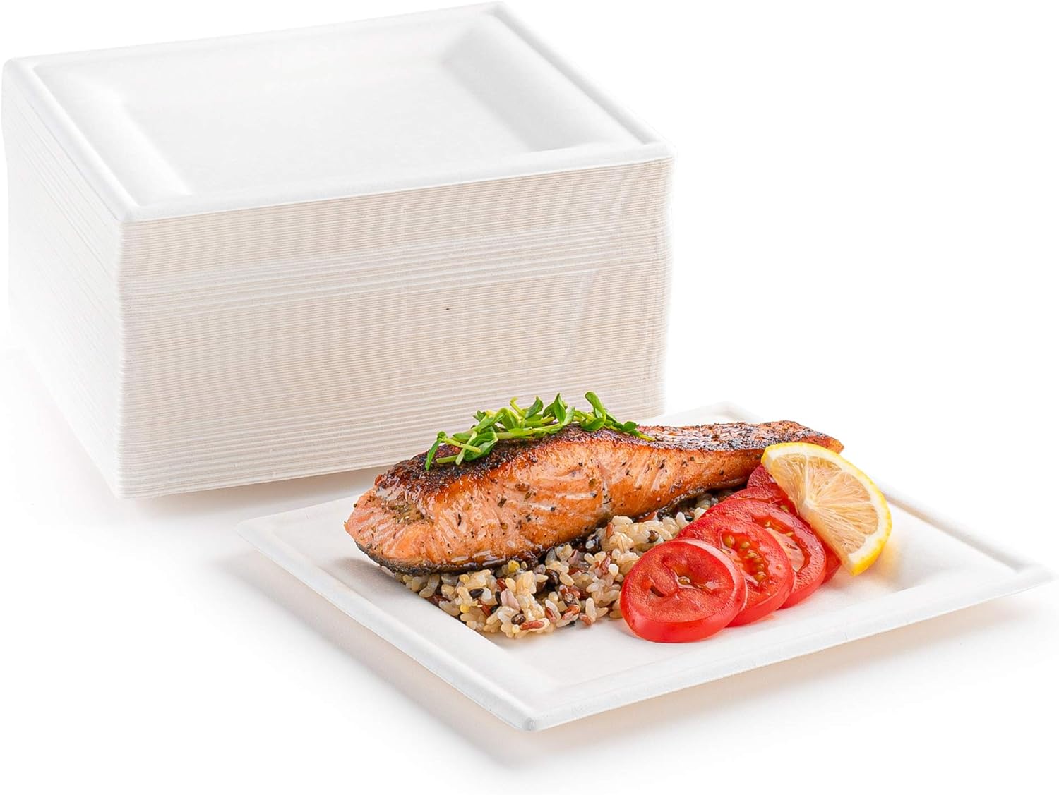 Buy 8 inch Disposable Plates Paper Plates Alternative Compostable ...