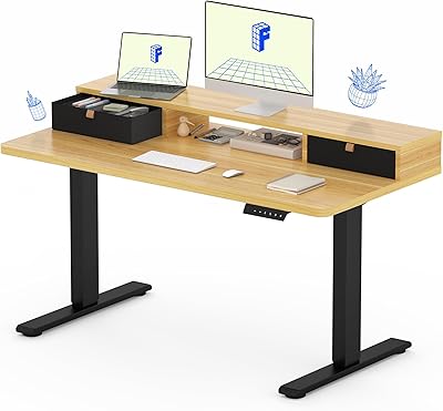 FLEXISPOT Electric Standing Desk with Drawer, Solid Philippines | Ubuy