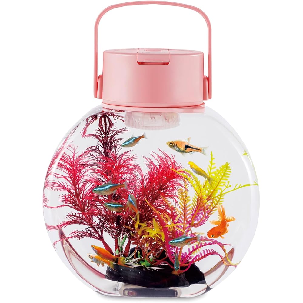 $6/mo - Finance Betta Fish Tank, 0.5 Gallon Children's Night Light ...