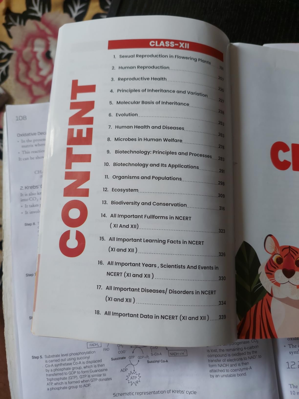 Buy NEET Biology Handbook Class XI and XII - Combined | Completely ...