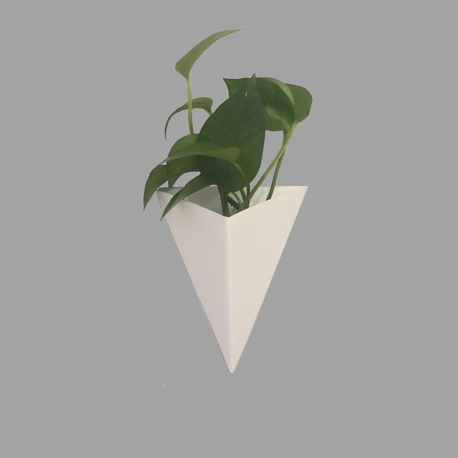 Amazon.com: Flush Mounting Floating Triangular Wall Planter 7X5.5X4 in ...