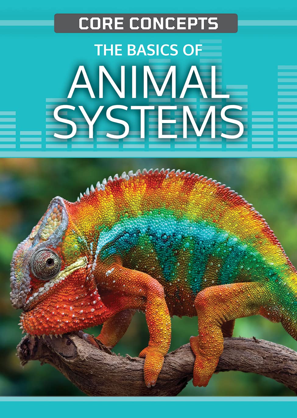 The Basics of Animal Systems (Core Concepts) : Lowe, Lindsey: Amazon.es ...
