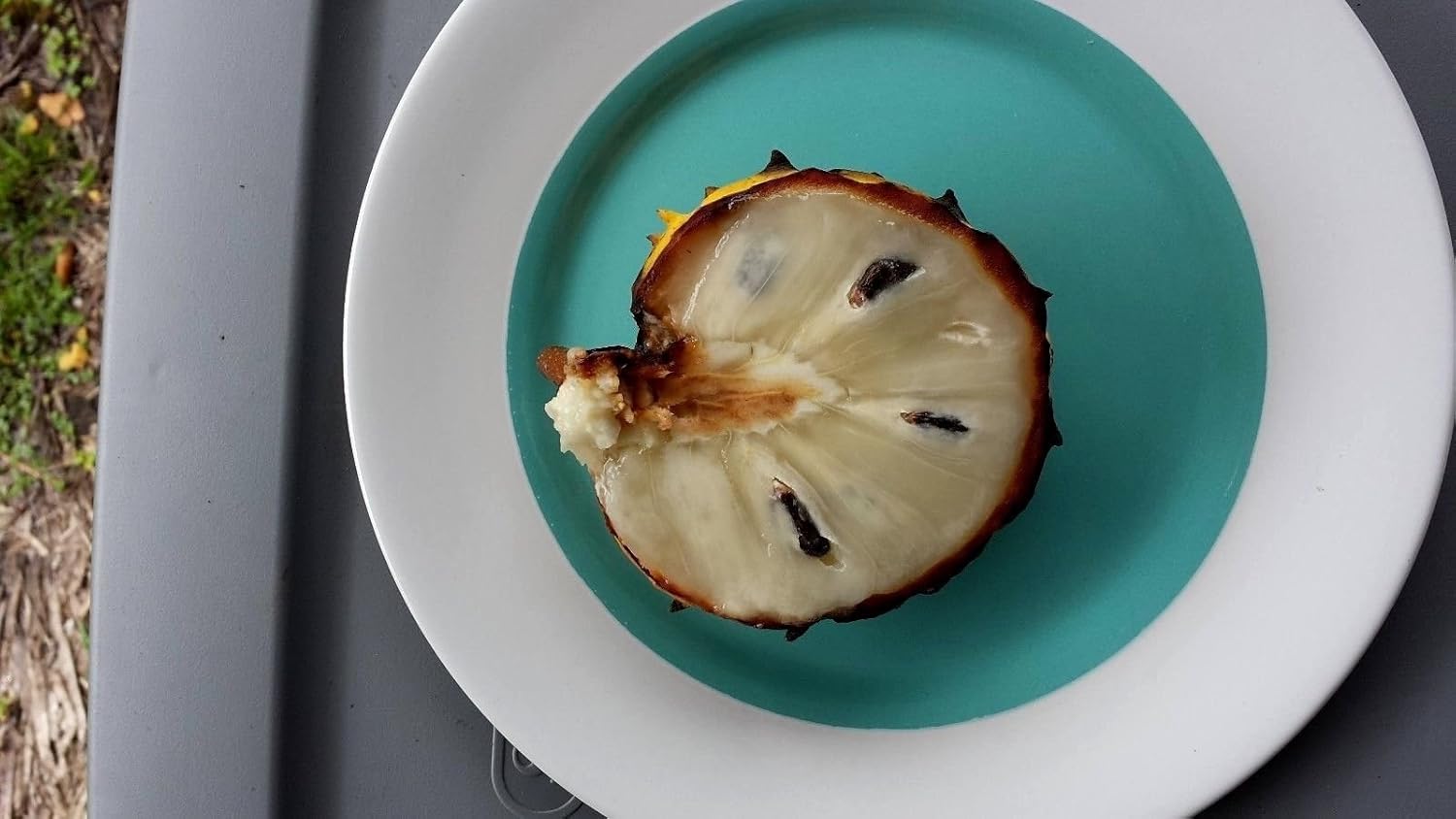 Amazon.com : Lot of 25 Rollinia Deliciosa Biriba Seeds Tropical Fruit ...