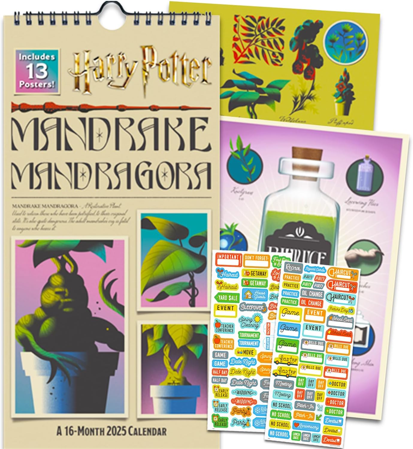 Harry Potter Calendar 2025 - Deluxe 2025 Harry Philippines | Ubuy
