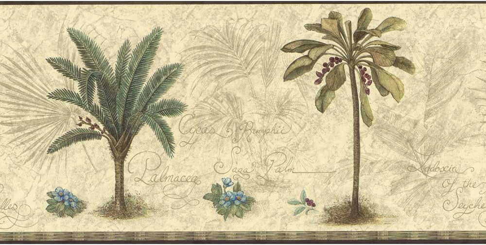 Decorate By Color BC1580044 Green Palm Tree Border - Wallpaper Borders ...