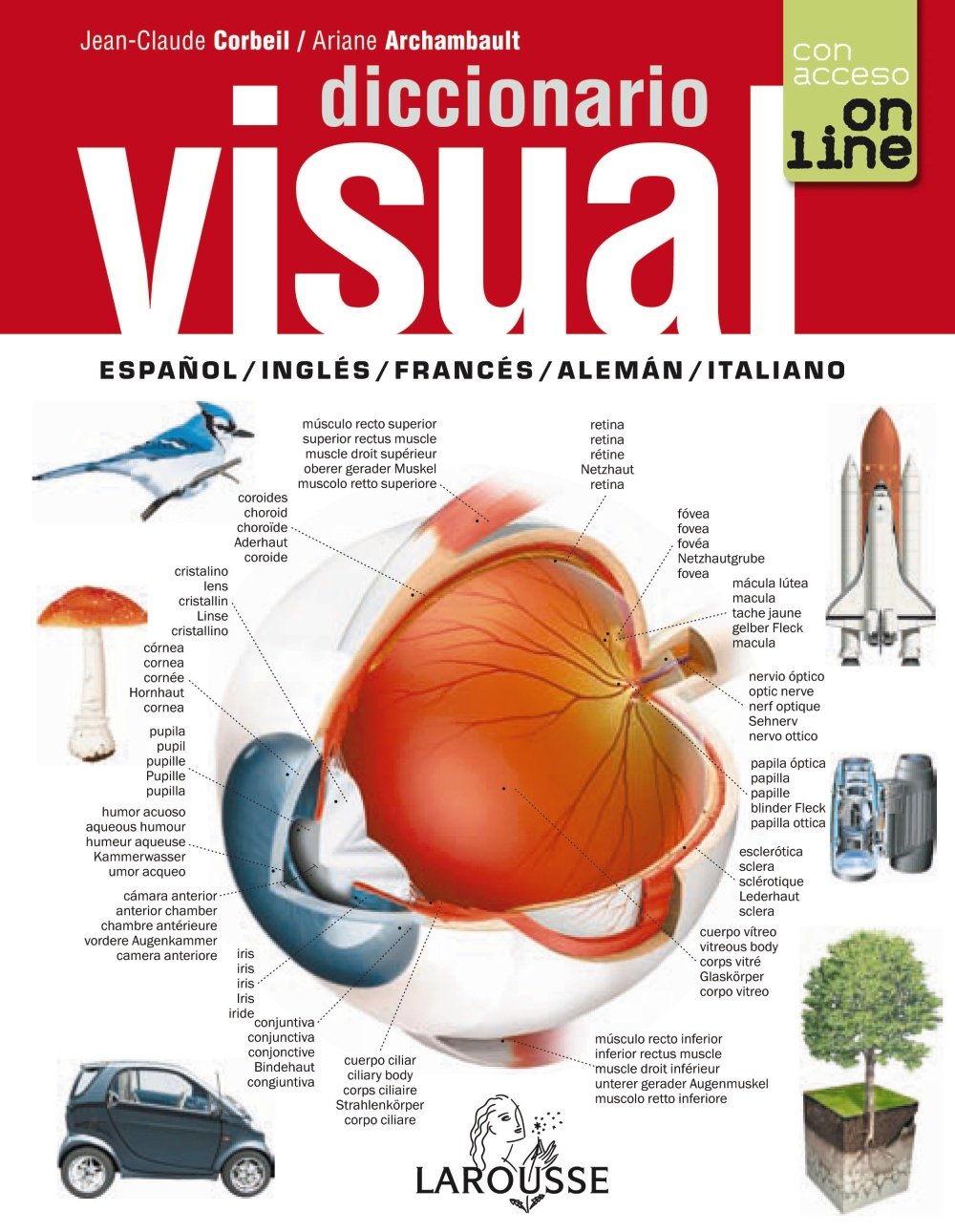 Buy Diccionario visual / Visual Dictionary: Espanol- Ingles- Frances ...