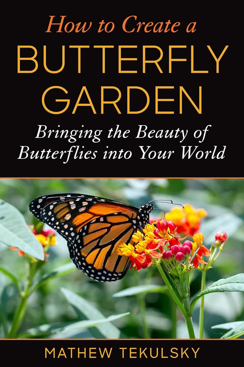 How to Create a Butterfly Garden: Bringing the Beauty of Butterflies ...