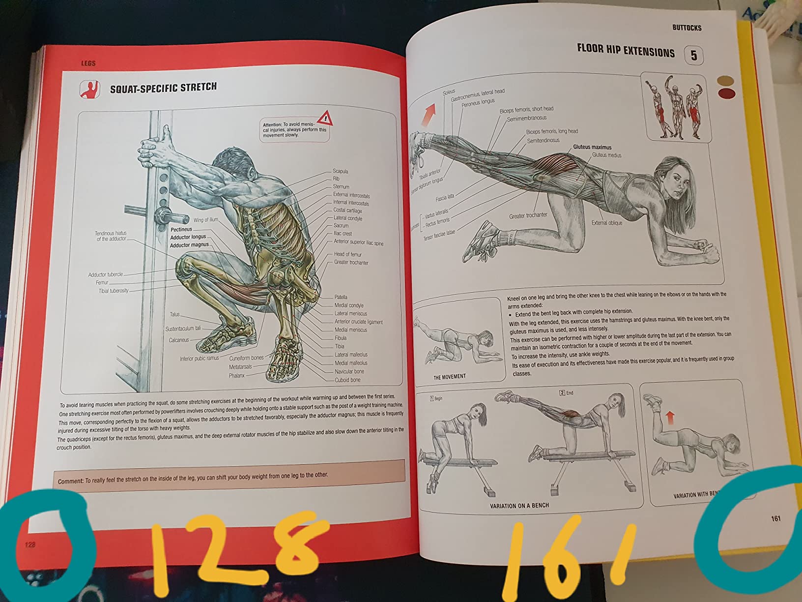 Strength Training Anatomy : Delavier, Frederic: Amazon.com.au: Books