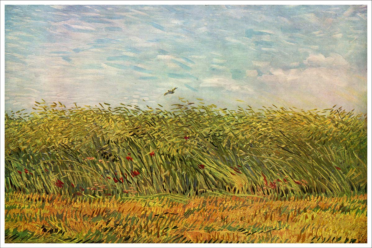 Cornfield Painting Vincent Van Gogh