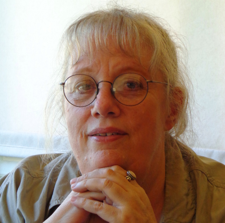 Amazon.com: D. Hart St. Martin: books, biography, latest update