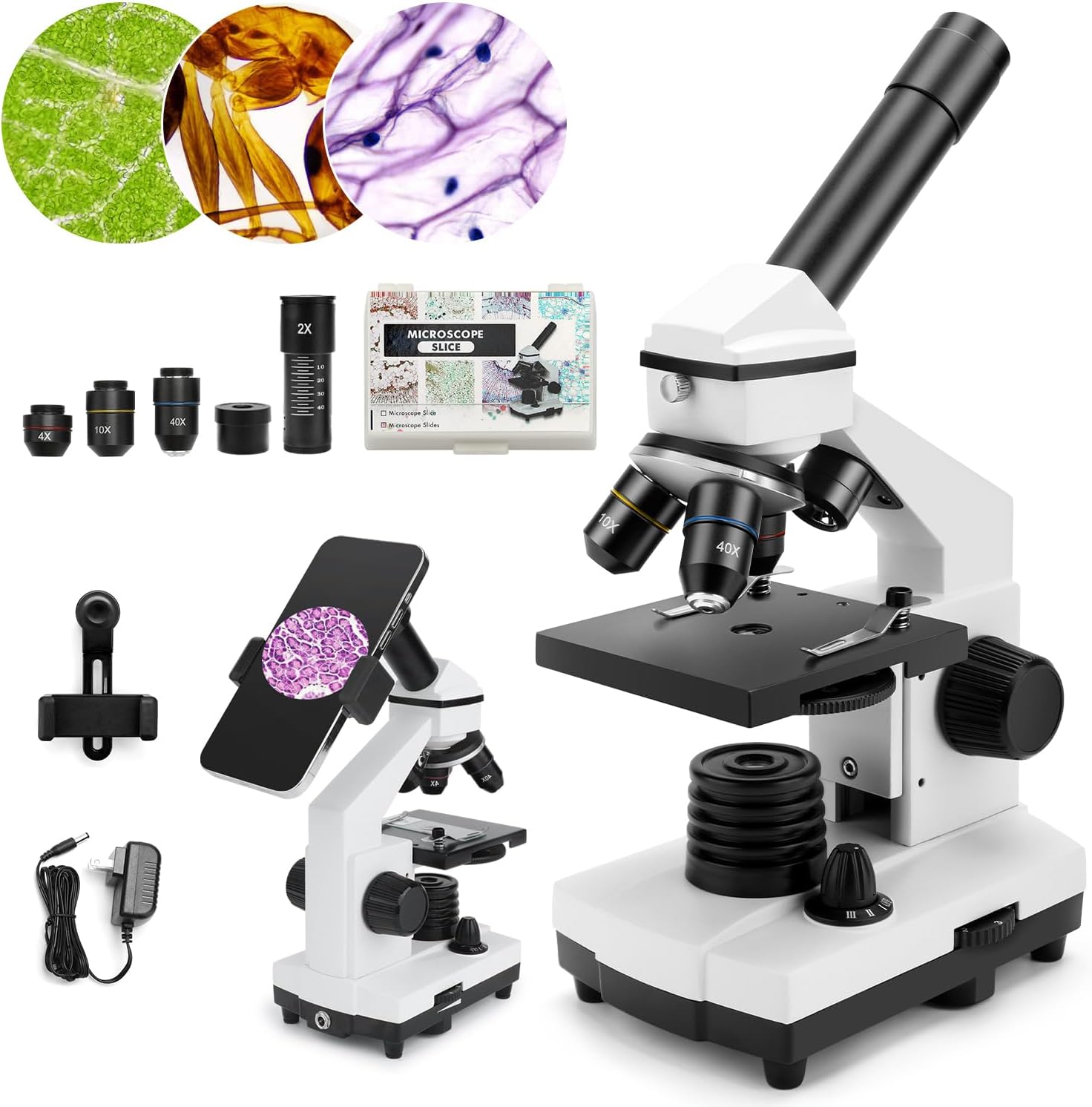 Dcorn Microscope for Adults Kids, 2000X Compound Microscope Biological ...