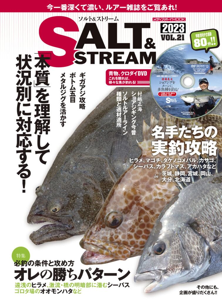 Amazon.co.jp: SALT&STREAM VOL.21 (メディアボーイMOOK) : メディアボーイ: 本