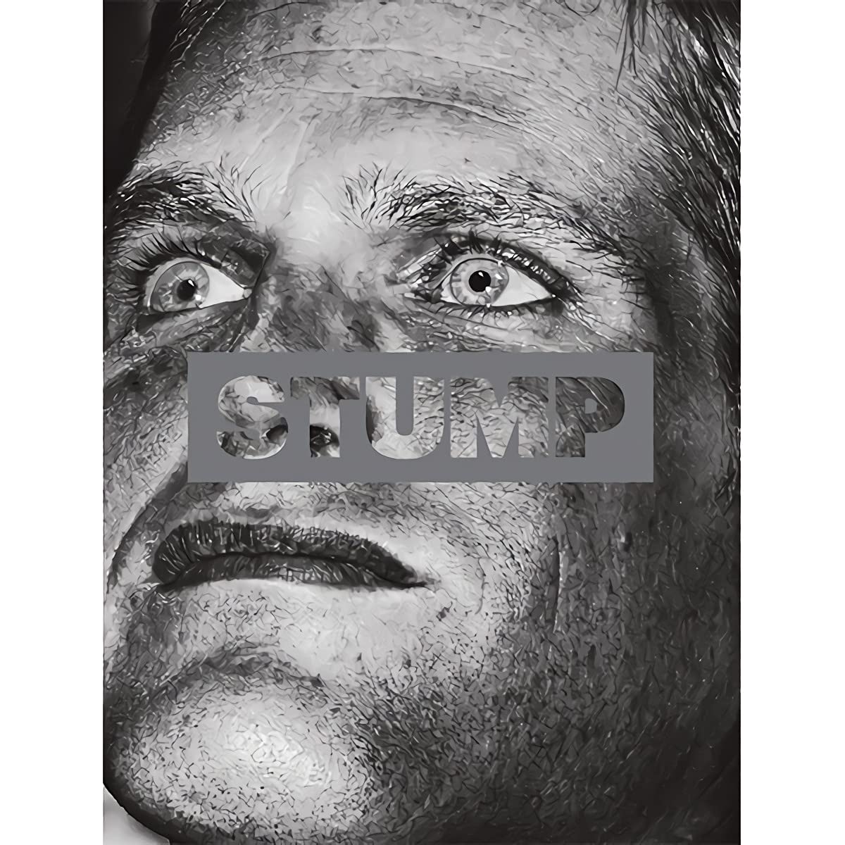 Amazon.com: Christopher Anderson: Stump: 9788415118565: Anderson ...