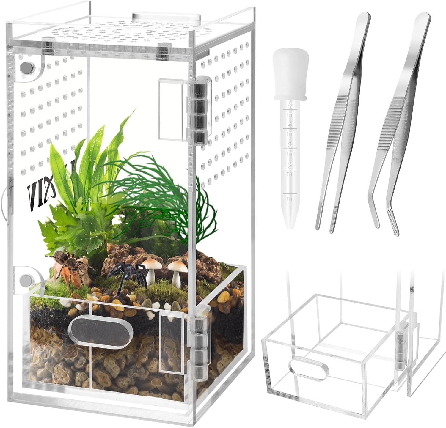 Amazon.com : Mini Jumping Spider Enclosure with Tongs, Dropper, Luxiv ...