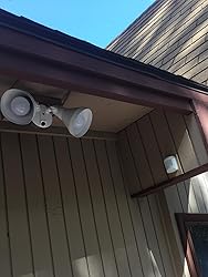 Amazon.com : Ecolink Z-Wave PIR Motion Detector Pet Immune, White ...