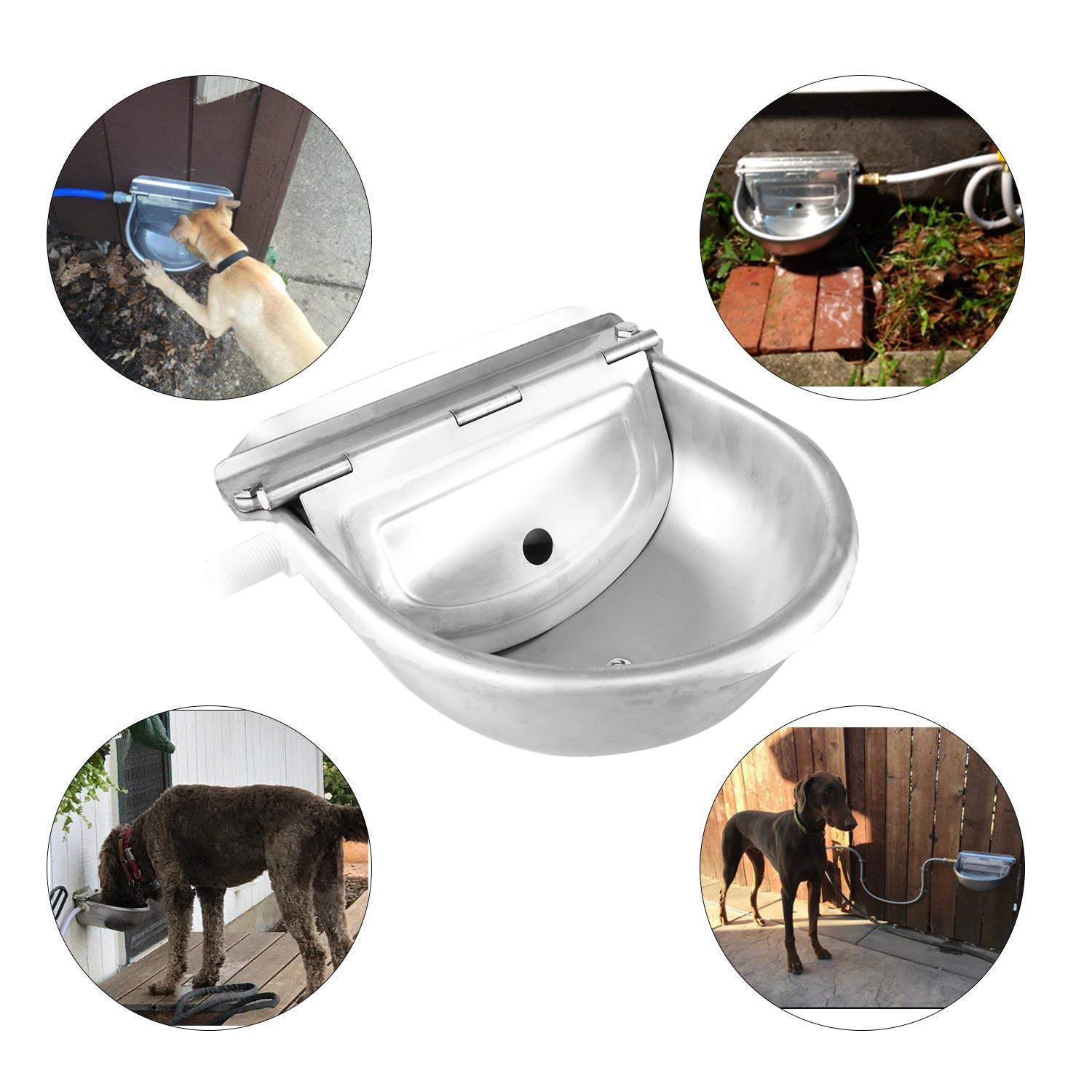 Snapklik.com : Homend Upgraded Automatic Waterer Bowl Farm Grade ...