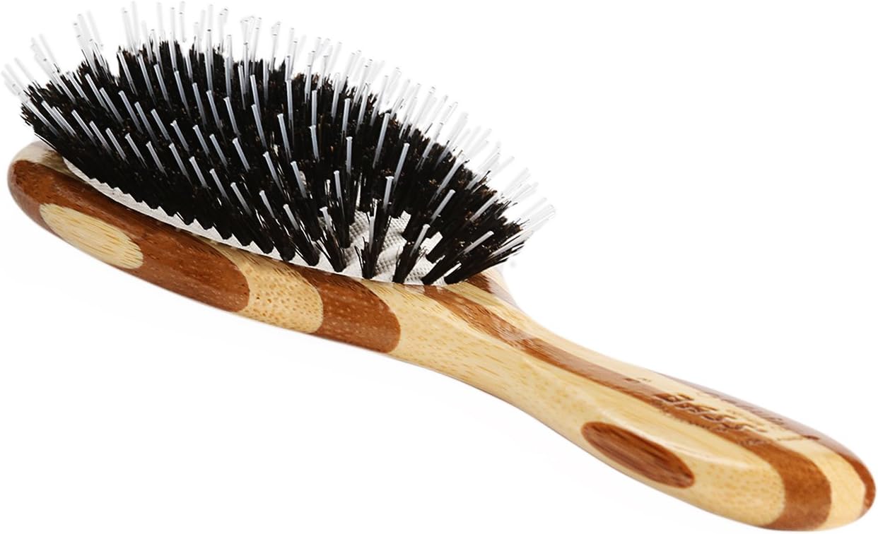 Amazon.com : Bass Brushes Med Oval Wild Boar Nylon Brush, 1 EA ...