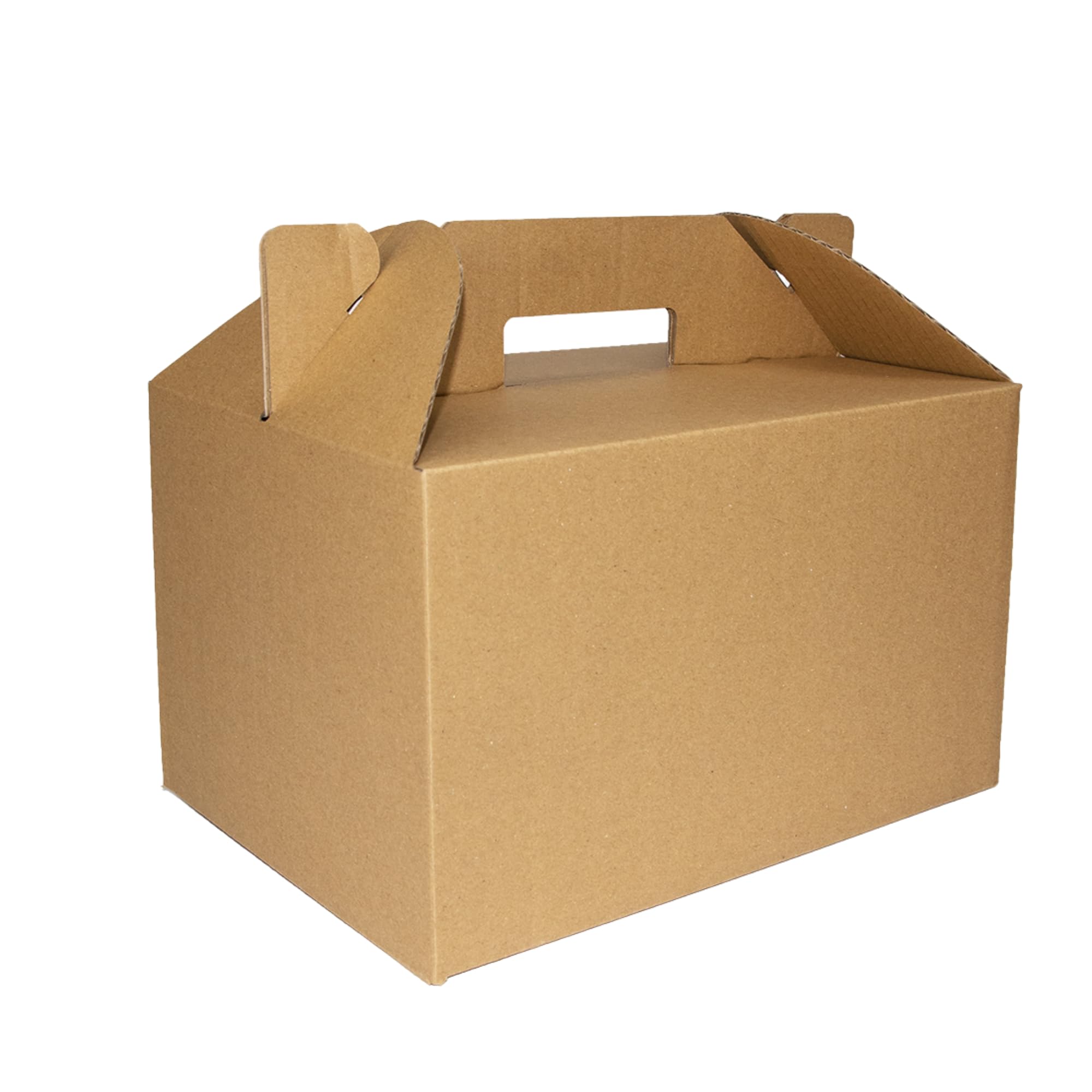 SelfHold Extra Large Double Wall turkey/Meat Box 400 x 270 x 270mm (40 ...