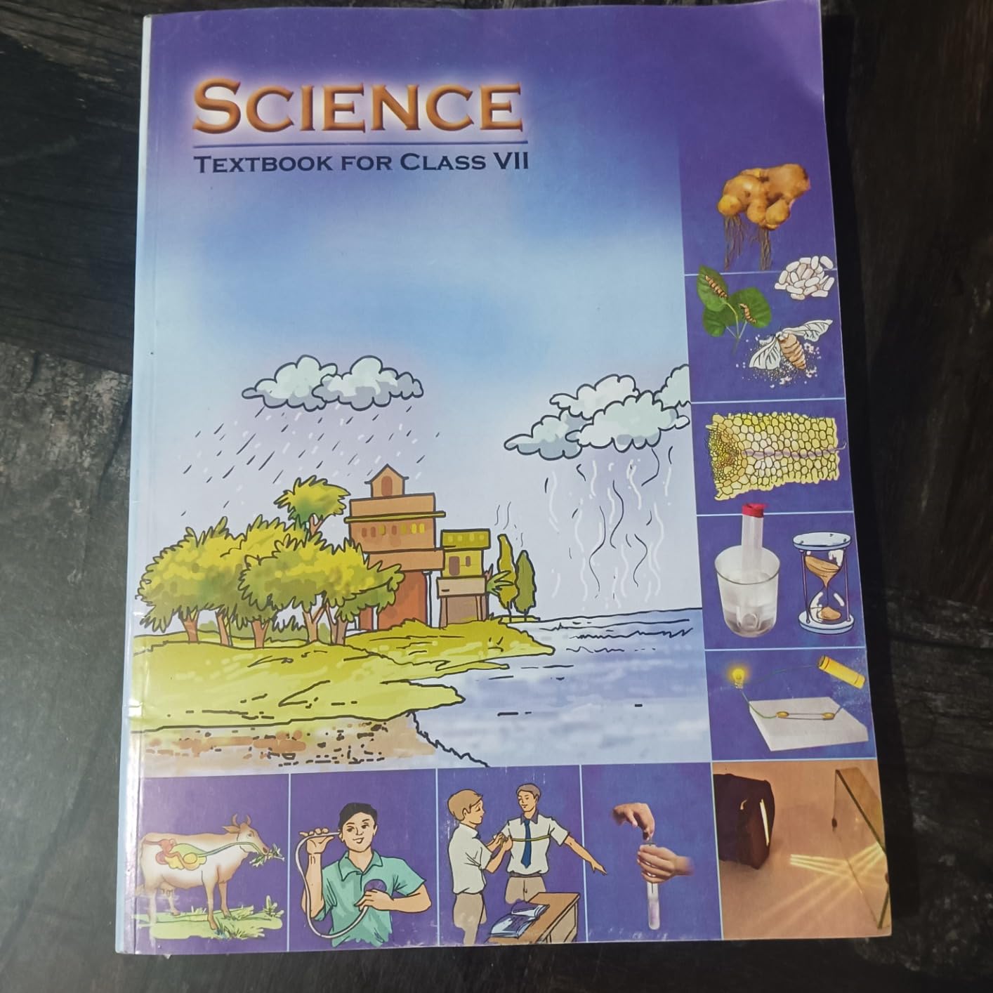 Science Textbook for Class - 7 : NCERT: Amazon.in: Books