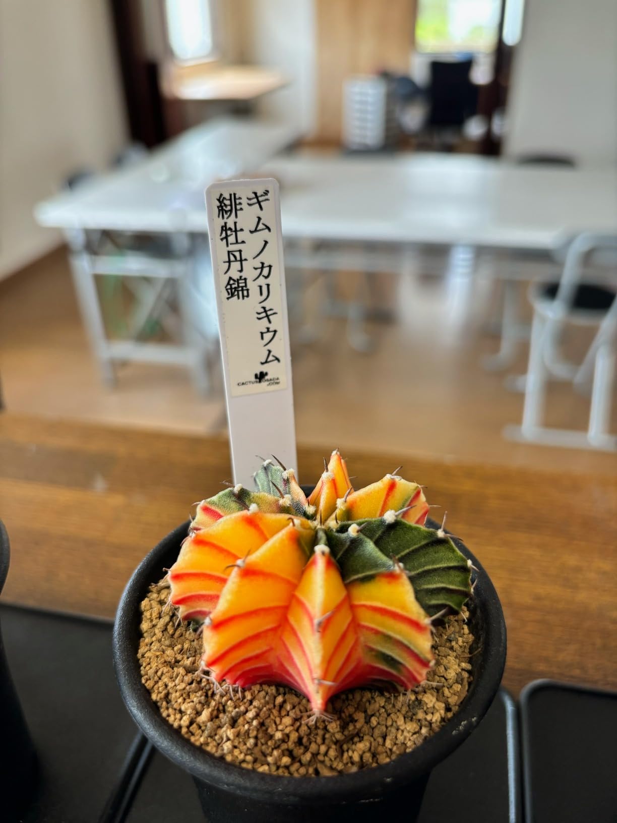 Amazon | Aiwode E26 LED電球E26口金LEDスポットライト5.5W(50-60W形相当)昼光色6000K非調光器対応RA＞85 広角120度 高輝度600LM E26 ...