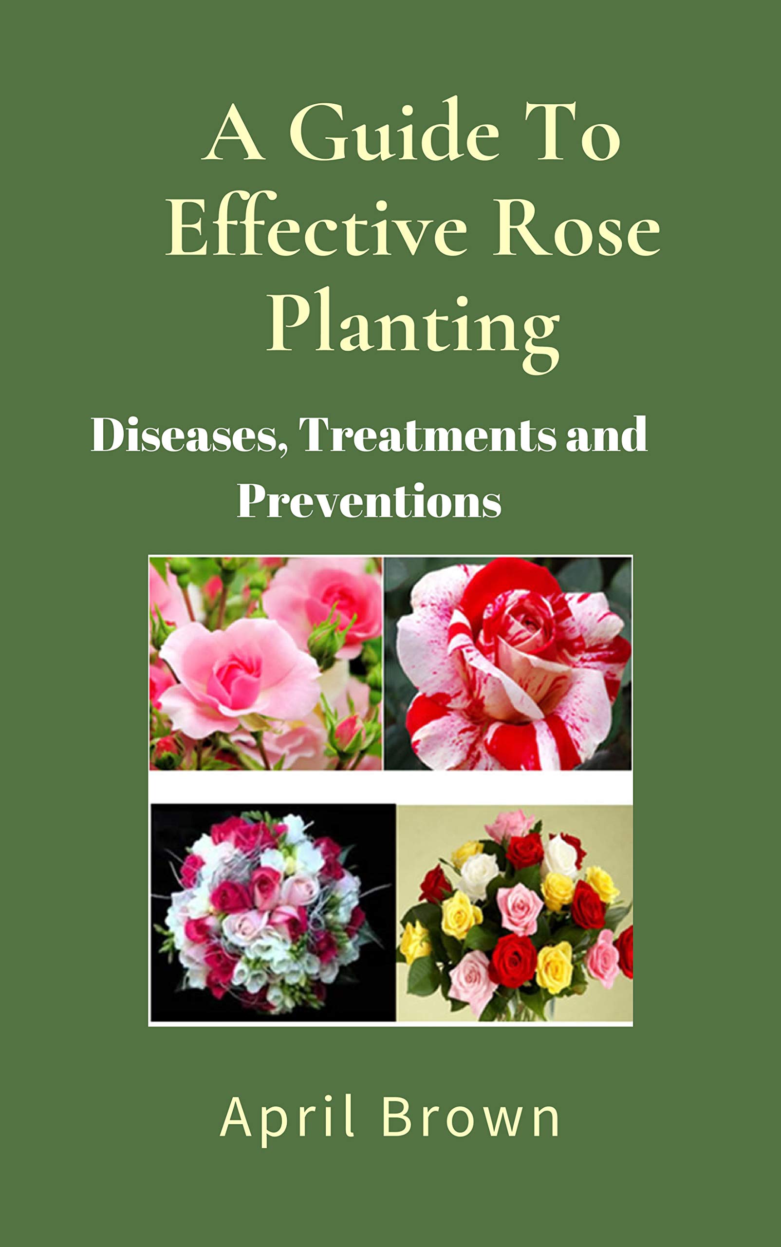 A Guide To Effective Rose Planting Diseases Treatments And Prevention ...