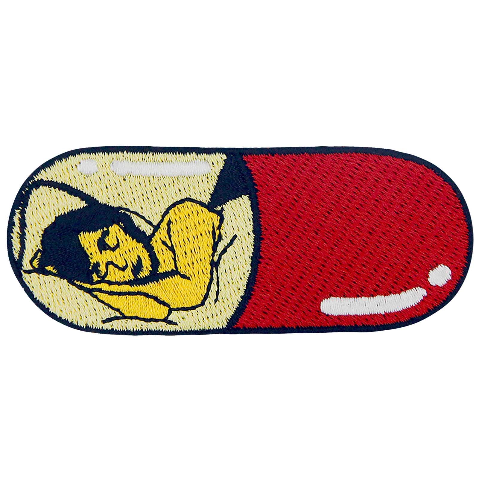 Amazon.com: Sleep in The Pill Patch Embroidered Applique Badge Iron On ...