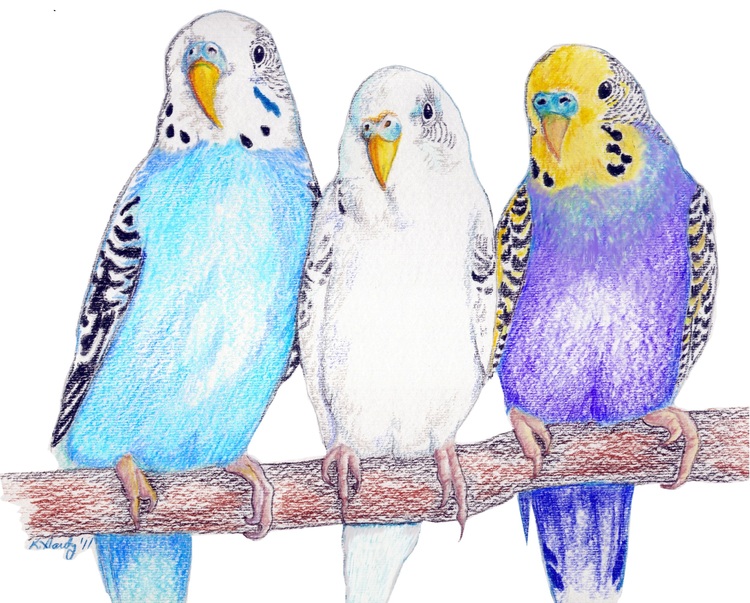 Amazon.com: Jess Barry: books, biography, latest update