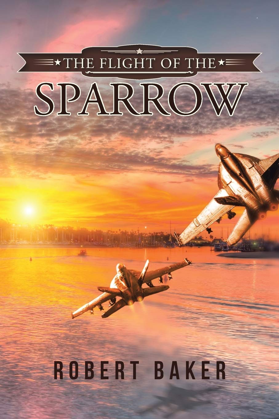 Amazon.com: The Flight of the Sparrow: 9781491790847: Baker, Robert: Books