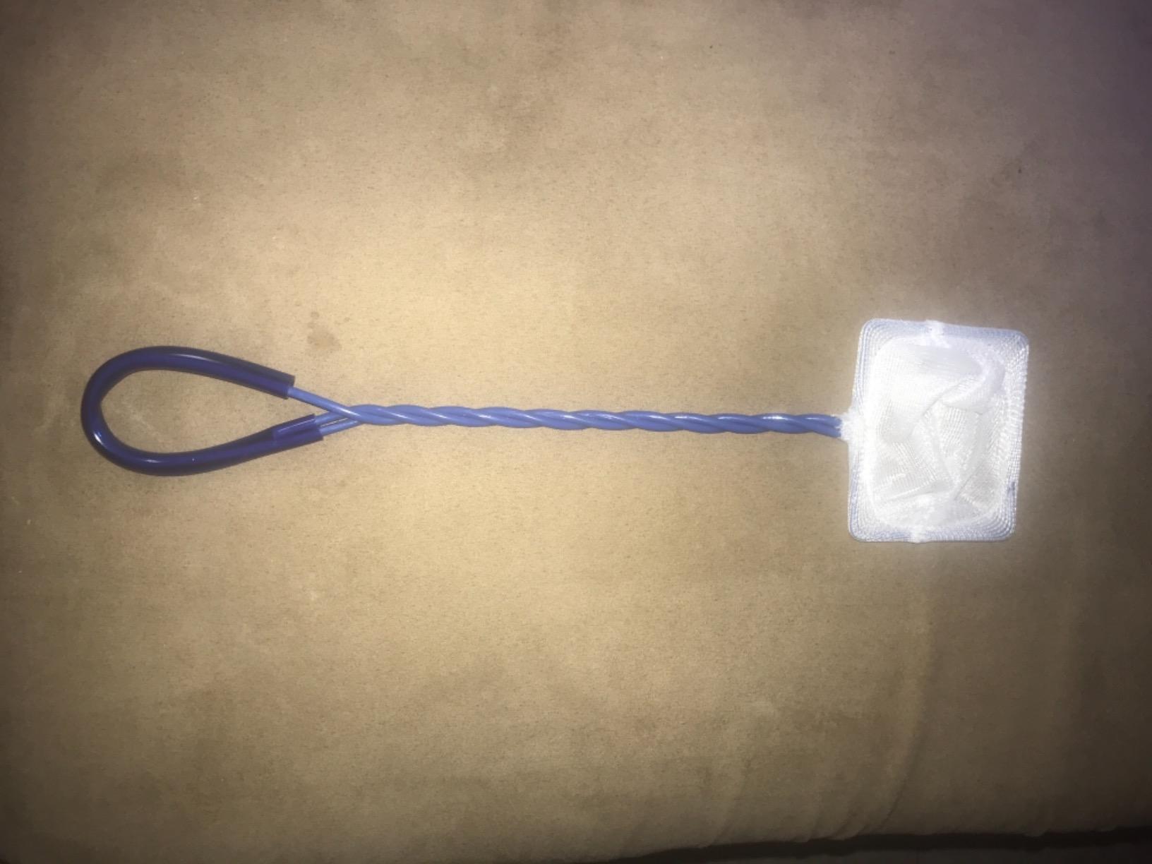 Amazon.com : Blue Ribbon Pet Products ABLEC3 Easy Catch Fish Net, 3 ...