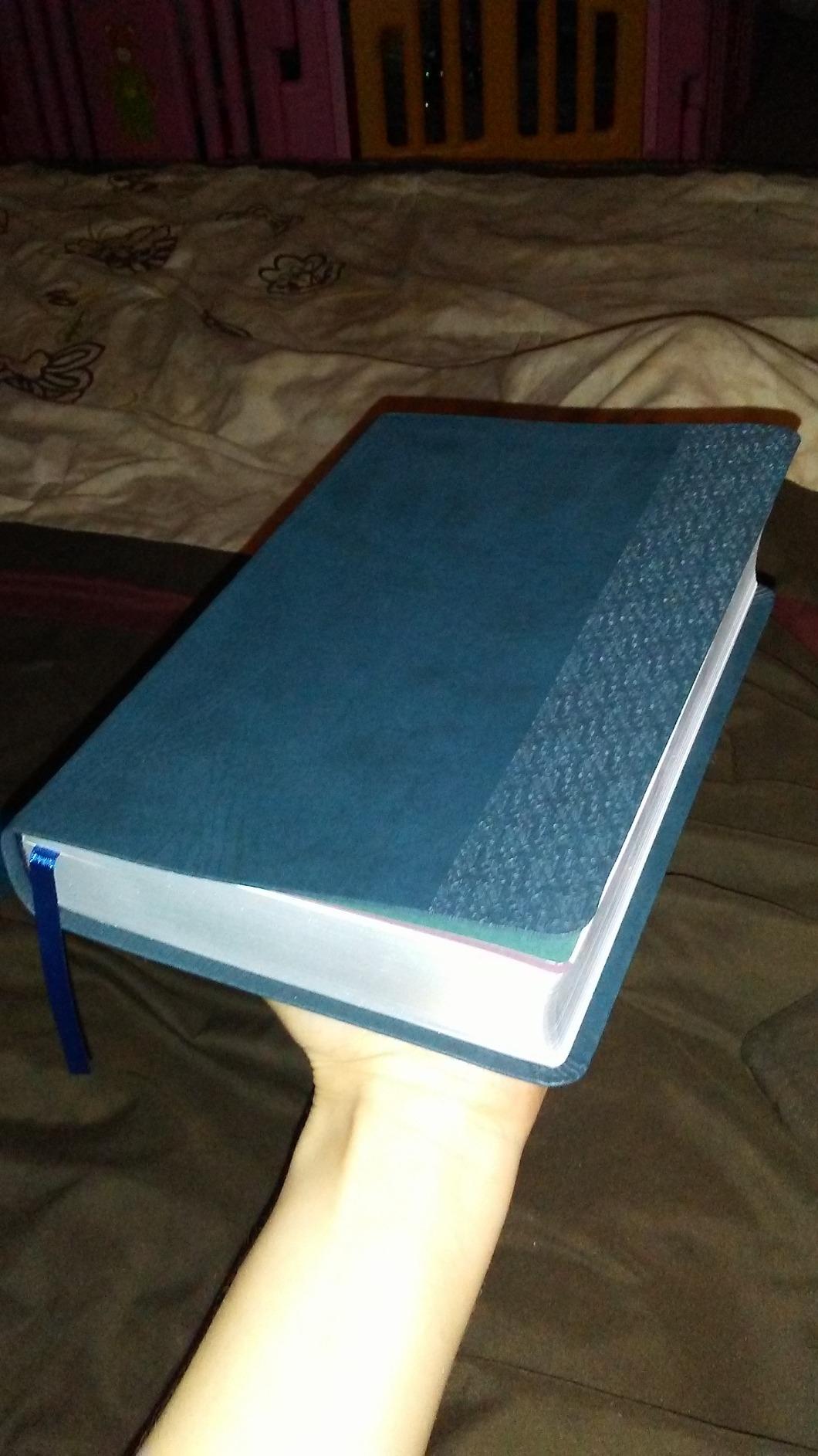 HCSB Airman’s Bible, Blue LeatherTouch: Holman Bible Publishers ...