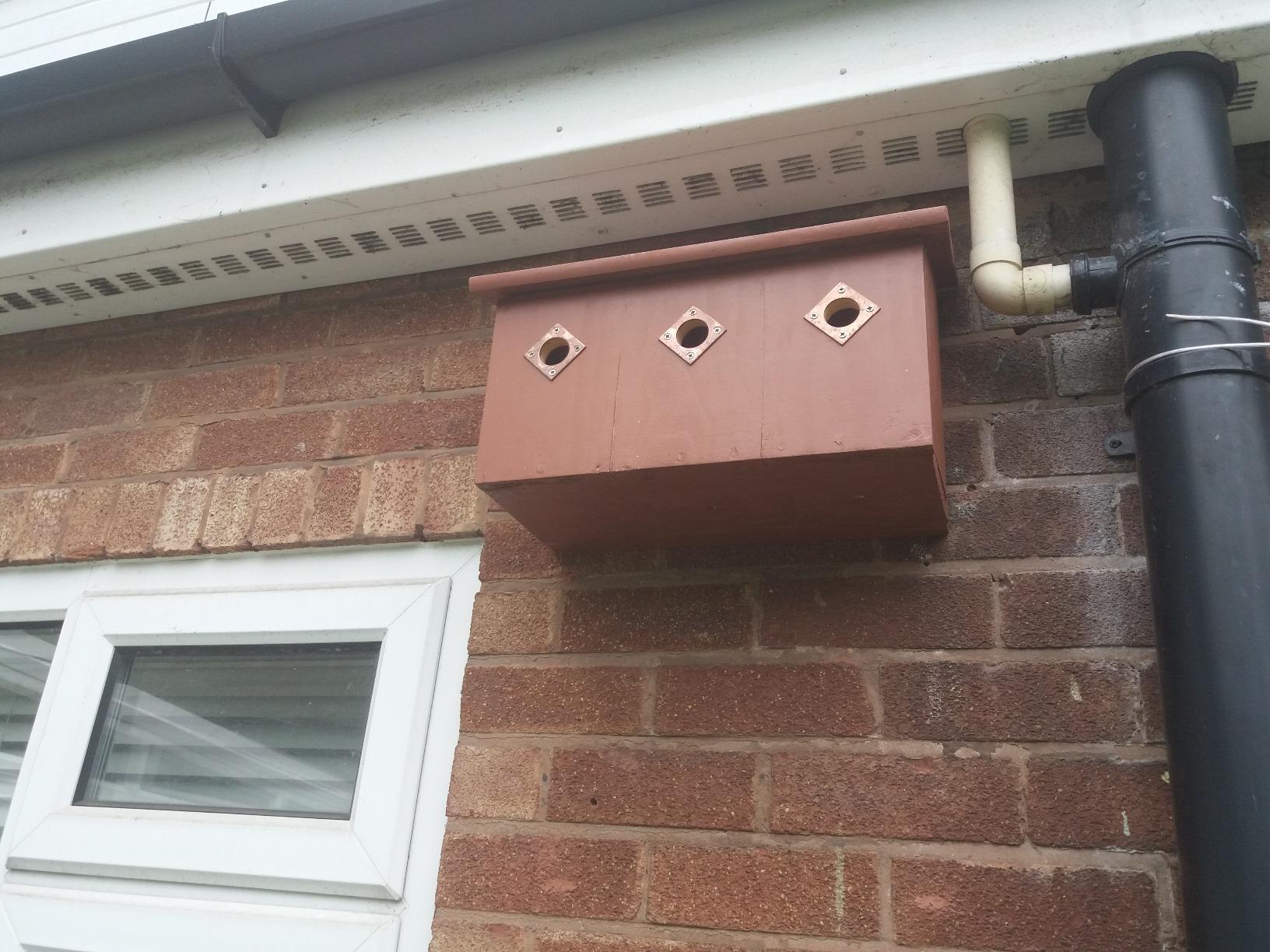 Selections Copper Nest Box Hole Protector : Amazon.co.uk: Garden