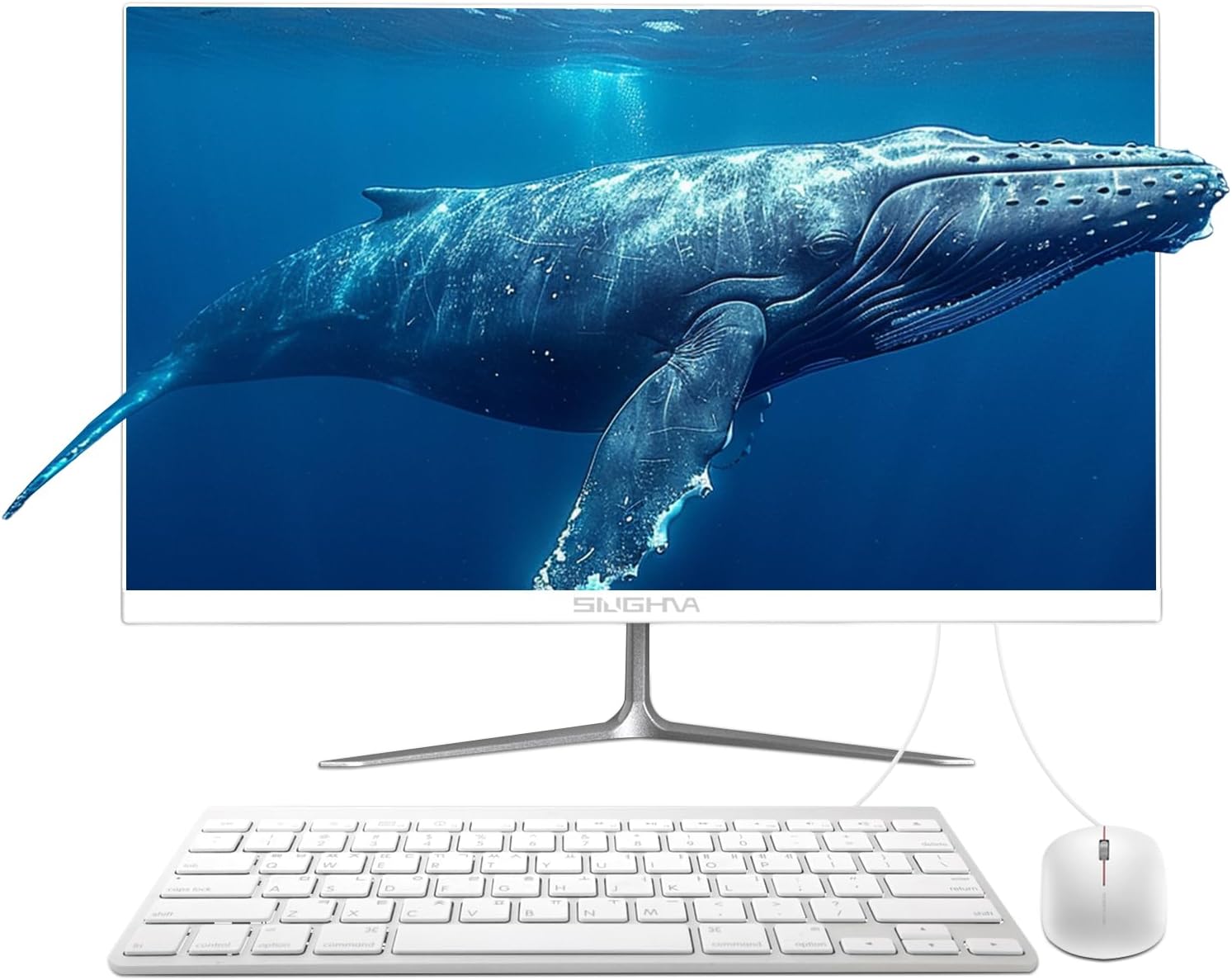 Amazon.com: All-in-One Computer Alder Lake N100 27 Inch Desktop ...