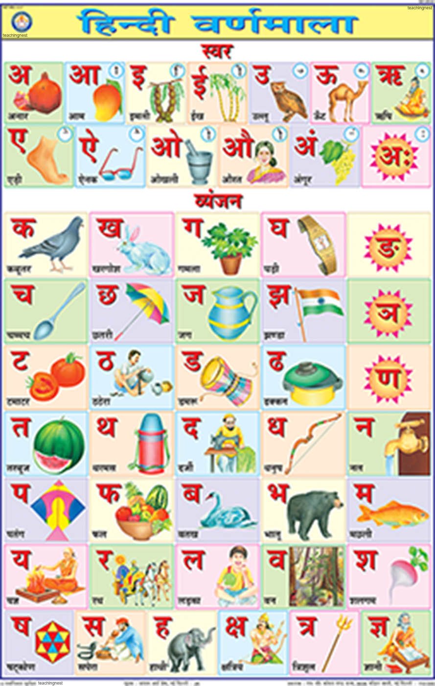 AC27 | TeachingNest | Hindi Alphabet Chart (50x75cm) | With Rollers ...