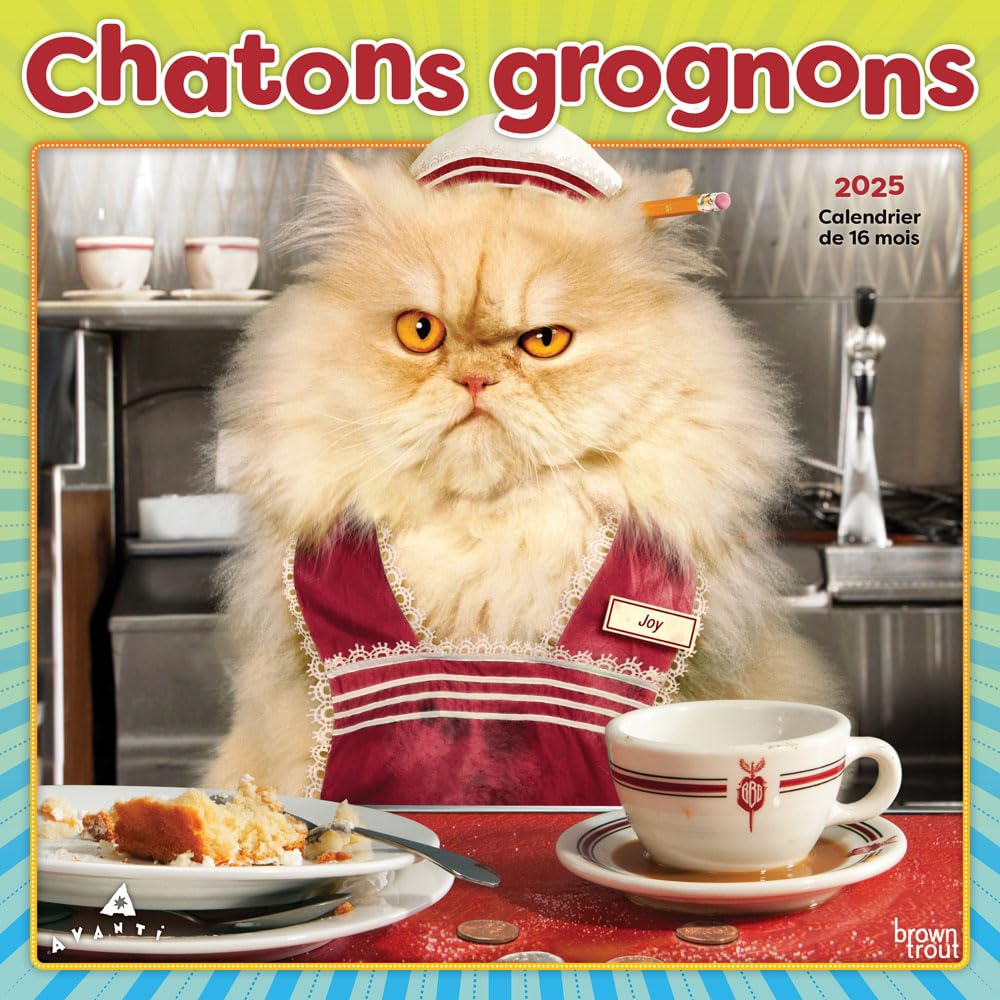 Avanti Chatons Grognons | Calendrier mural mensuel carré 2025 30,5 x 61 ...