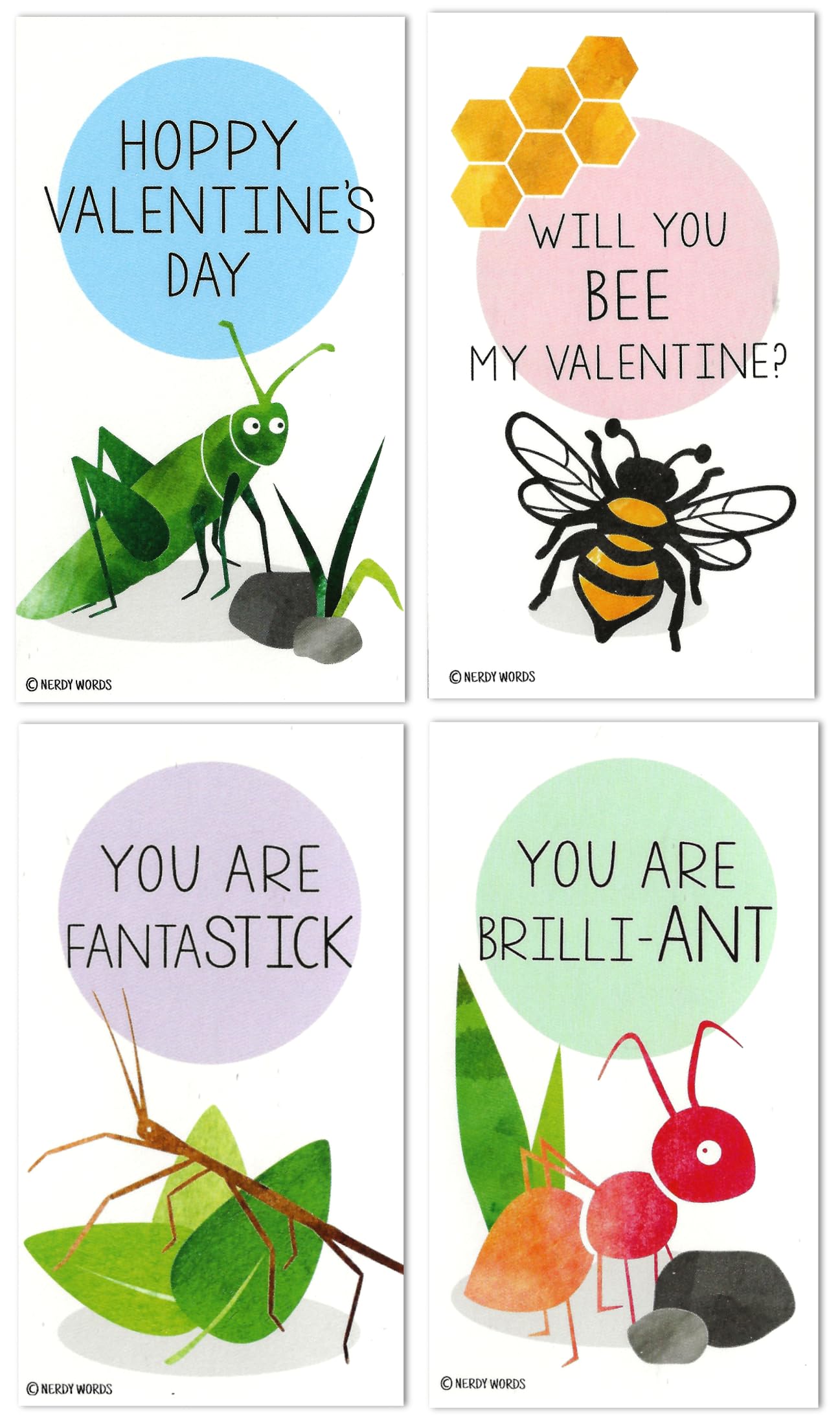 Amazon.com : Nerdy Words Mini Insect Bee Ant Grasshopper Stick Bug ...