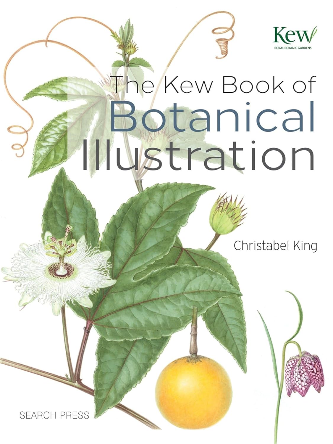The Kew Book of Botanical Illustration: King, Christabel: 9781844489473 ...