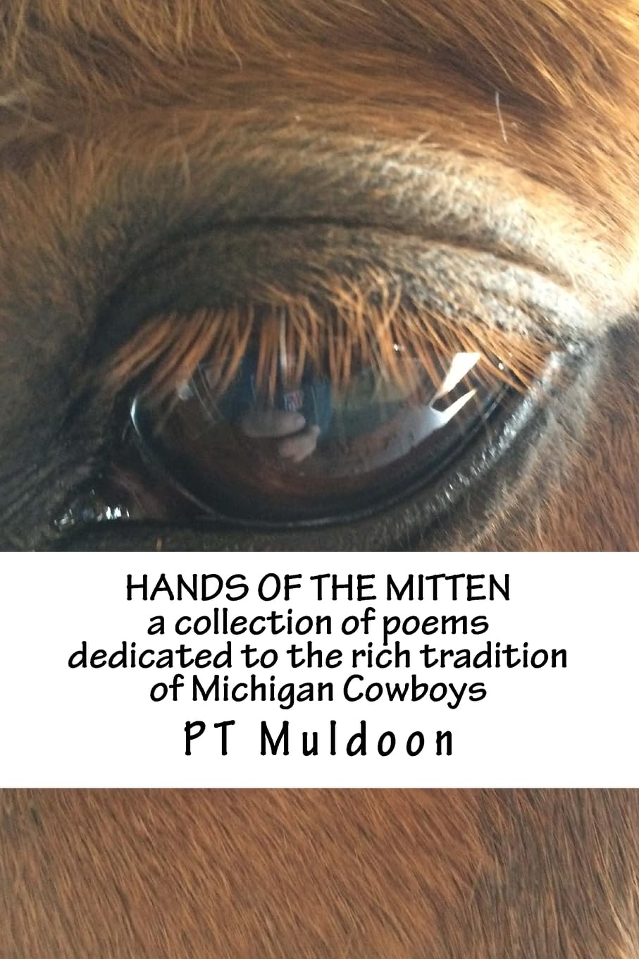 Hands of The Mitten a collection of poems about the cowboys of Michigan ...