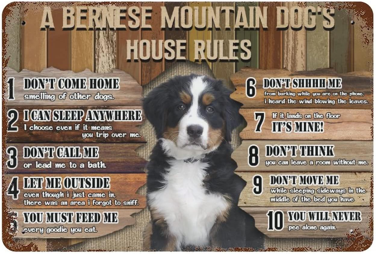Amazon.com: Funny Dog Rules Metal Tin Sign A Bernese Mountain Dog's ...