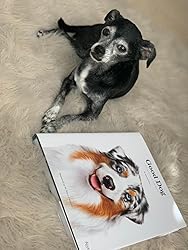 Amazon.com: Good Dog: A Collection of Portraits: 9781599621487: Ford ...