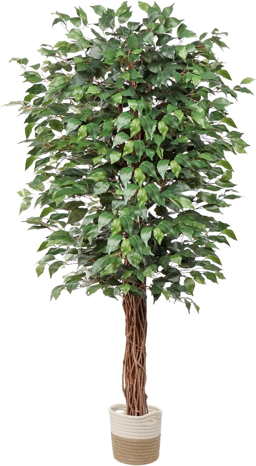 Amazon.com: Artificial Ficus Tree 6ft Tall 72 Inch Faux Silk Plants in ...