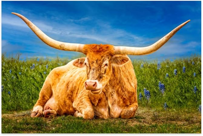 Amazon.com: VETEB Jigsaw Puzzles 1000 Pieces for Adult Beautiful Texas ...