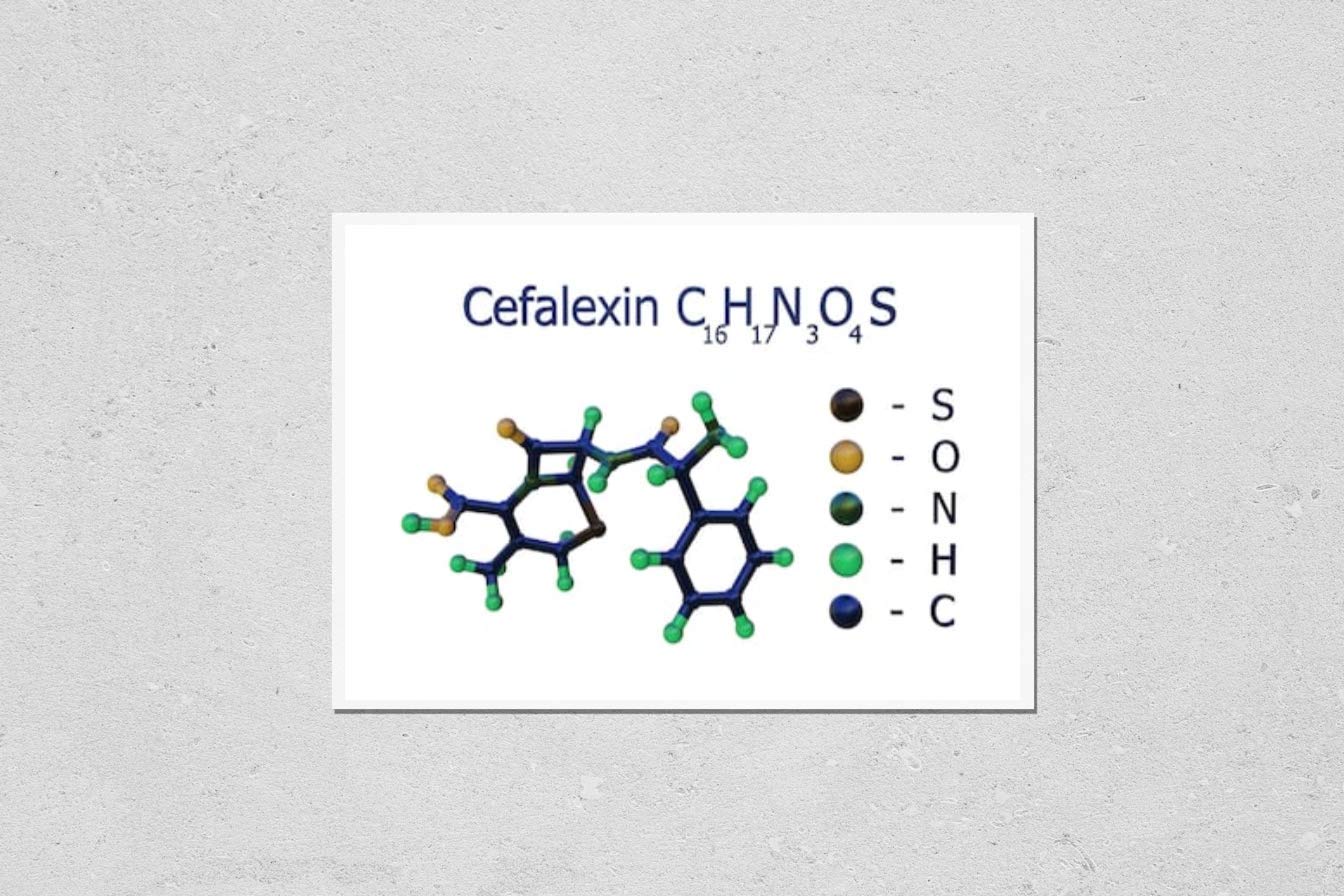 Buy Reproduction of Structural formula and molecular model of cefalexin ...