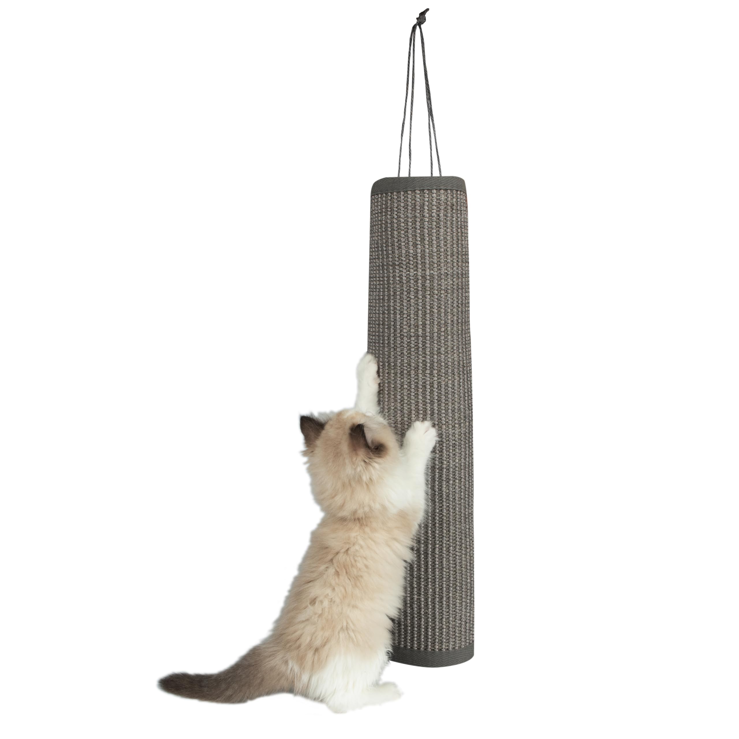 Snapklik.com : Best Pet Supplies Catify Cat Scratcher, Fun Interactive ...